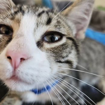 ROSE BRIDGE FARM & SANCTUARY - Updated June 2025 - 226 Photos & 81 ...