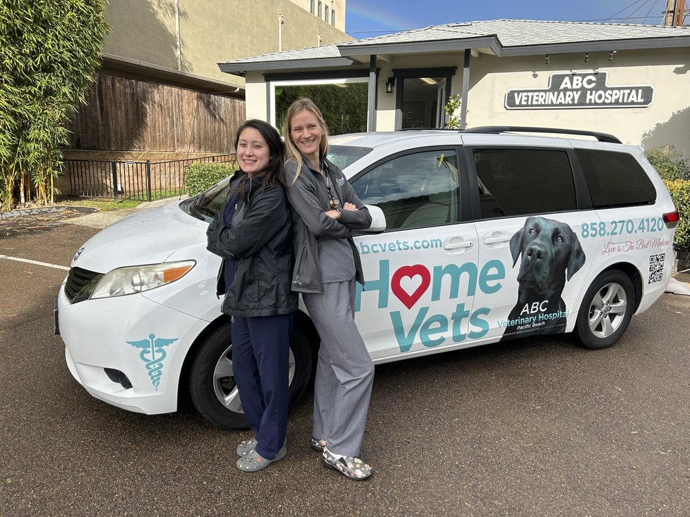 ABC VETERINARY HOSPITAL PACIFIC BEACH - Updated April 2025 - 228 Photos ...