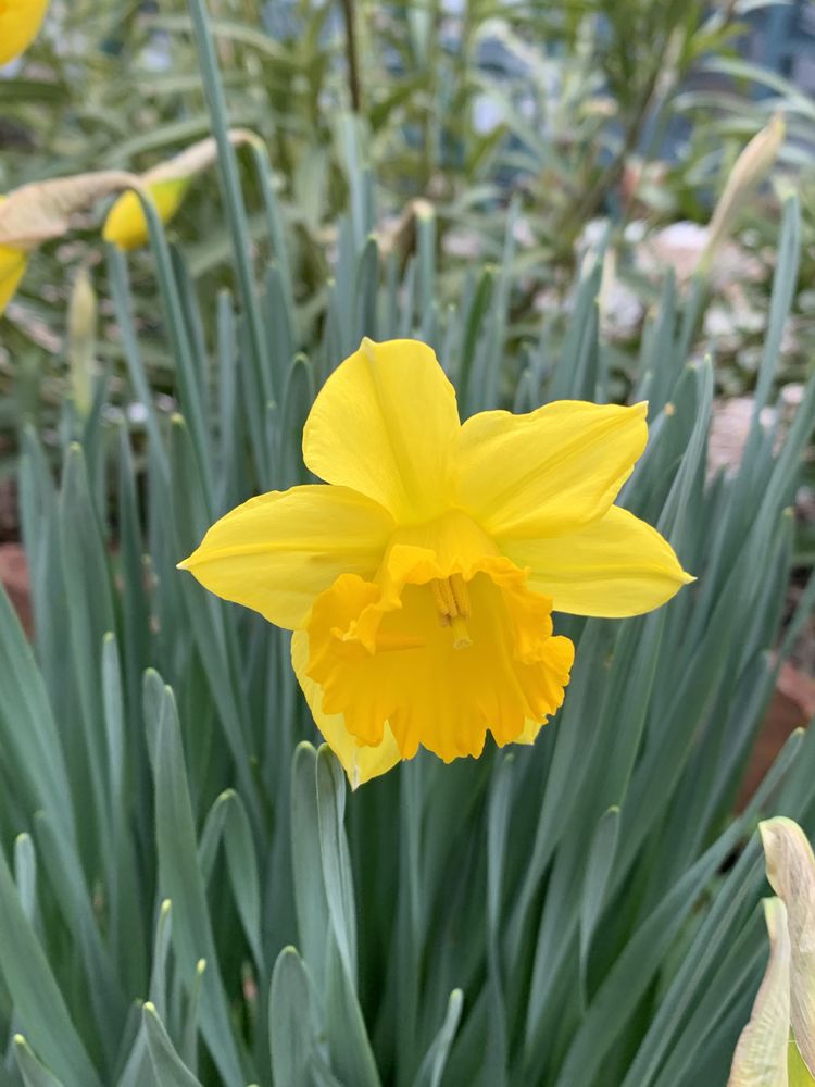 GOLD RUSH MOBILE HOME PARK - Updated August 2025 - 29 Photos - 22216 ...