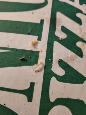 SNICKERS PIZZA & PUB - Updated January 2026 - 17 Reviews - 222 W Lake ...