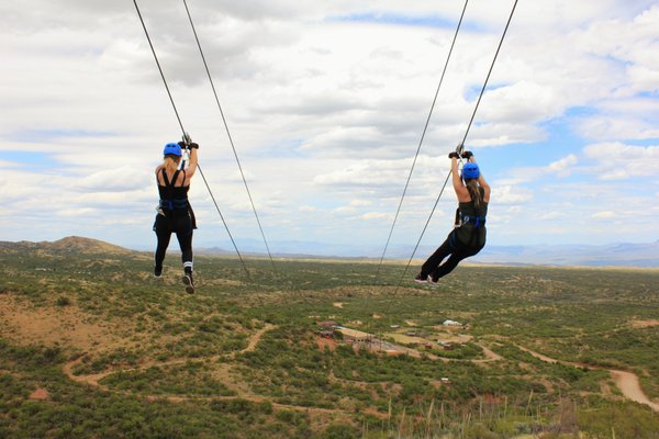 ARIZONA ZIPLINE ADVENTURES - 244 Photos & 123 Reviews - Ziplining ...