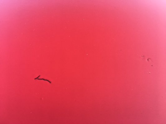 MAACO AUTO BODY SHOP & PAINTING - Updated August 2024 - 22 Photos & 18 ...