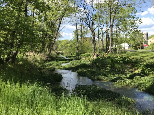 LETORT SPRING RUN NATURE TRAIL - Updated June 2024 - 415 Franklin St ...