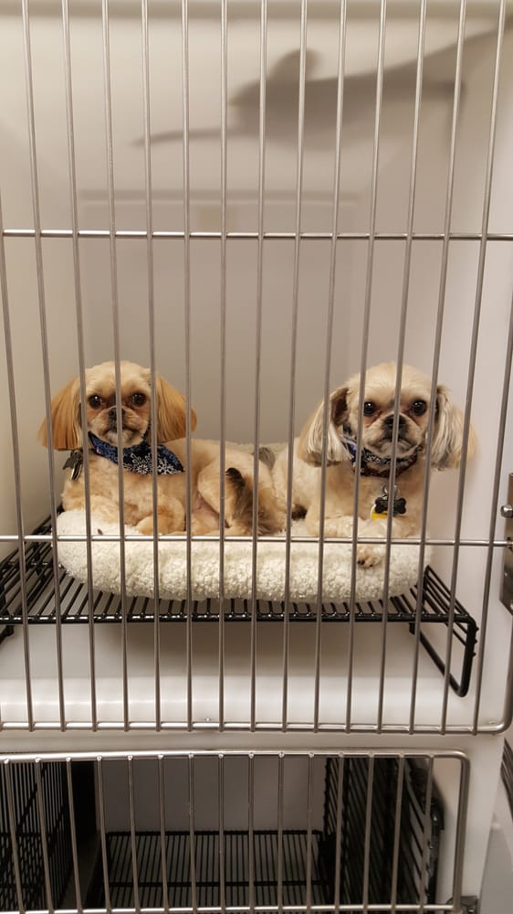 MODERN MUTT SPA - Updated October 2025 - 10 Photos - 131 S Sacramento ...