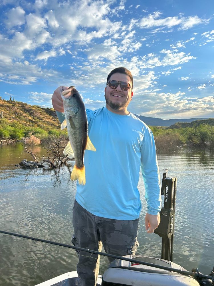 WHITE MOUNTAIN GUIDING - Updated July 2025 - 20 Photos - Pinetop ...