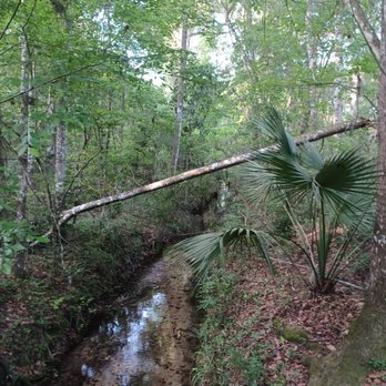 BIVENS ARM NATURE - Updated December 2025 - 44 Photos - 3650 S Main St ...