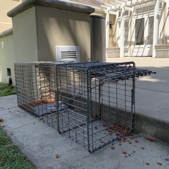 ANIMAL CAPTURE WILDLIFE CONTROL - 197 Photos & 117 Reviews - 645 9th St ...