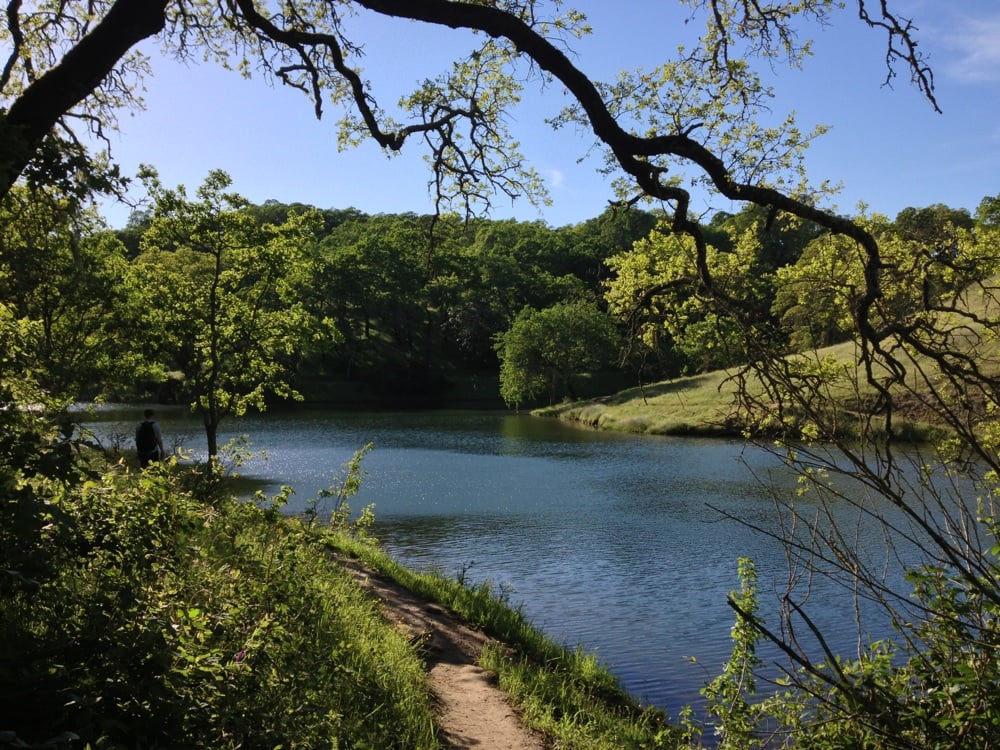ELIZABETH ANNE PERRONE DOG PARK - Updated September 2025 - 17 Photos ...