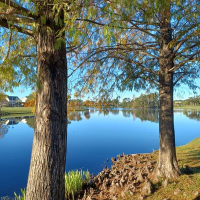 WATERFORD LAKES COMMUNITY ASSOCIATION - Updated November 2024 - 124 ...