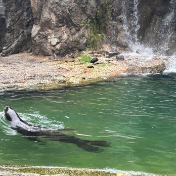 QUEENS ZOO - Updated September 2025 - 1111 Photos & 219 Reviews - 5351 ...