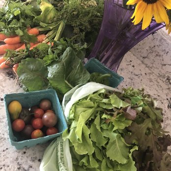 URBAN ROOTS - Updated September 2025 - 28 Photos & 14 Reviews - 1700 E ...