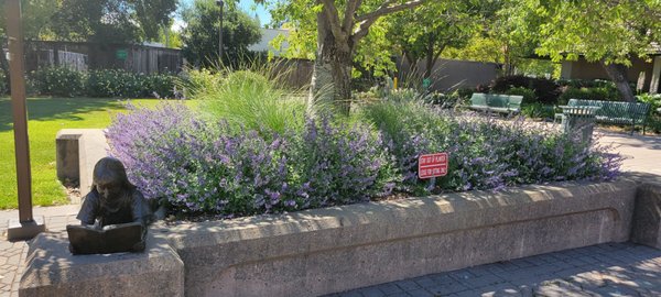 PLEASANTON LIBRARY - Updated October 2025 - 150 Photos & 105 Reviews ...