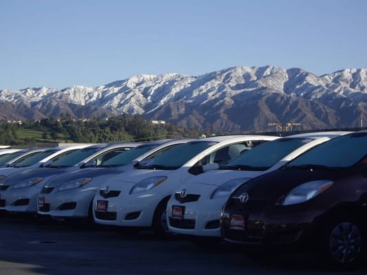 HAMER TOYOTA - Updated April 2025 - 410 Photos & 1815 Reviews - 11041 ...