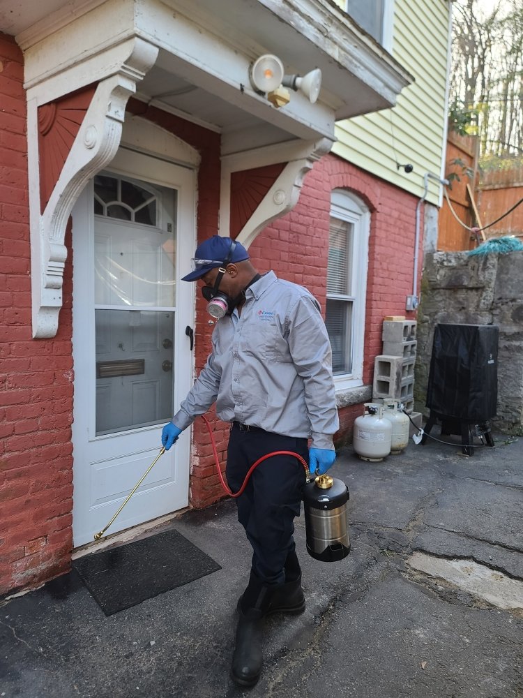 CEASE PEST CONTROL SERVICE - Updated August 2025 - 12 Photos ...