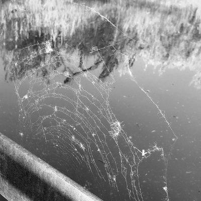 BACHECHI OPEN SPACE - Updated January 2026 - 32 Photos - 9521 Rio ...