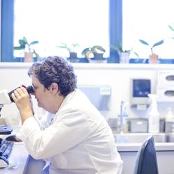 UNIVERSITY HEALTH SERVICES, TANG CENTER - 23 Photos & 108 Reviews ...