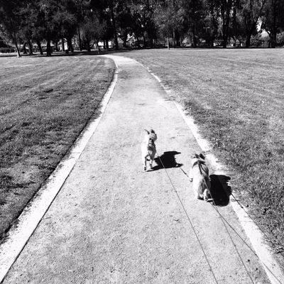 CATALDI PARK - Updated October 2025 - 240 Photos & 116 Reviews - 2900 ...