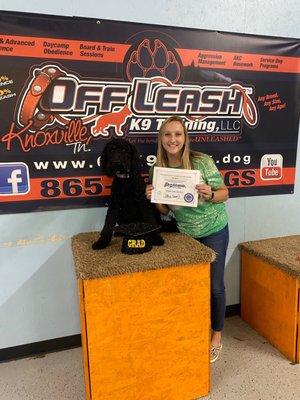 OFF LEASH K9 TRAINING - Updated October 2025 - 42 Photos & 16 Reviews - 3511 Overlook Cir ...