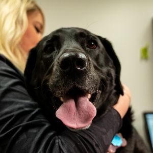 RED RIVER ANIMAL EMERGENCY HOSPITAL AND REFERRAL CENTER - Updated ...