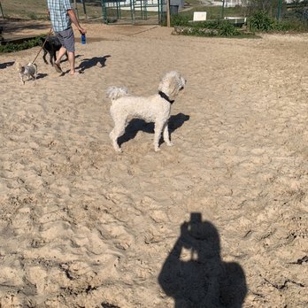 BAYVIEW DOG BEACH - Updated December 2025 - 88 Photos & 58 Reviews ...