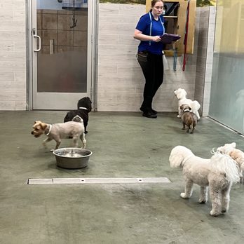 PETSMART - Updated January 2026 - 126 Photos & 206 Reviews - 2465 East ...