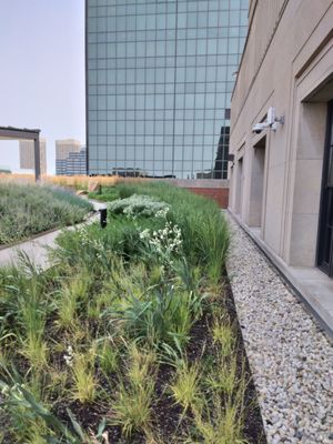 USPS - Updated December 2025 - 115 Photos & 150 Reviews - 433 W ...