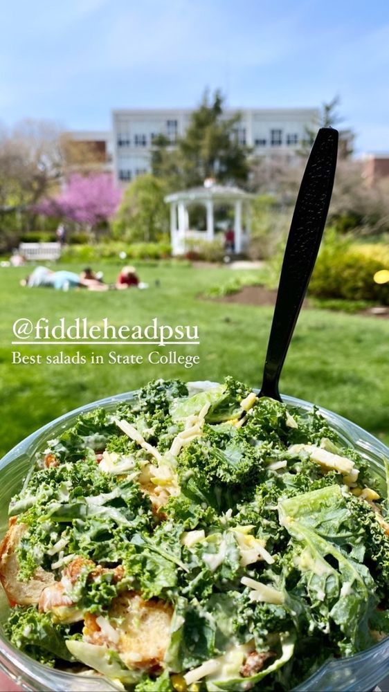 FIDDLEHEAD - Updated July 2025 - 32 Photos & 109 Reviews - 134 W ...