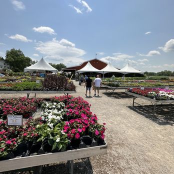 FARMS VIEW ROADSTAND - Updated December 2025 - 194 Photos & 89 Reviews ...