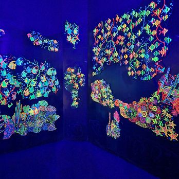 PUTTING EDGE - Updated July 2024 - 282 Photos & 116 Reviews - 5250 ...