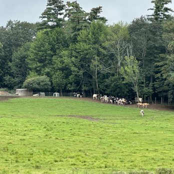 SMILING HILL FARM - Updated December 2025 - 184 Photos & 70 Reviews ...