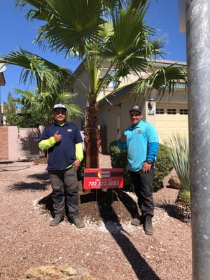 MOON VALLEY NURSERIES TREE SERVICE - 39 Photos & 82 Reviews - 9040 S ...