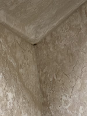 ALENCO - Updated January 2026 - 20 Photos & 33 Reviews - 16201 W 110th ...