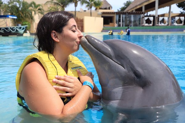 DOLPHINARIS - Updated December 2025 - 18 Photos & 18 Reviews ...