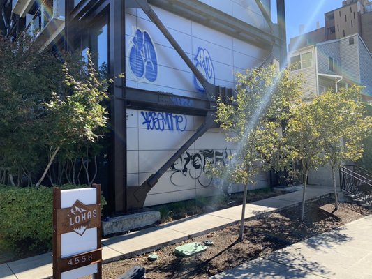 METROPOLITAN MANAGEMENT - Updated September 2024 - 37 Photos & 72 ...