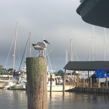 WHITE CAP FISH MARKET - Updated August 2024 - 135 Photos & 88 Reviews ...