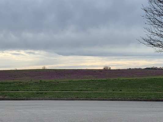 COLDSTREAM PARK - Updated August 2025 - 13 Photos - 1875 Newtown Pike ...