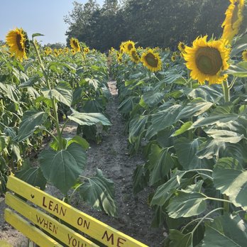 ARGOS FARM - Updated August 2025 - 85 Photos & 42 Reviews - 1250 Lacey ...