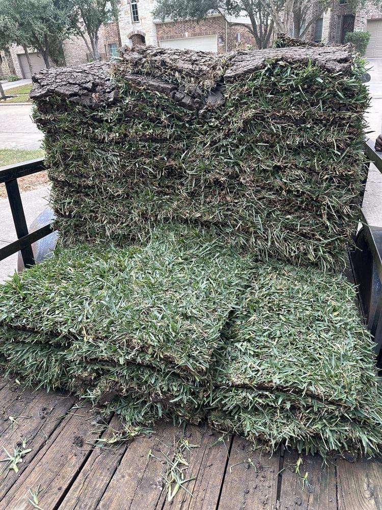 290 GRASS - Updated December 2025 - 12 Photos & 20 Reviews - 12423 ...