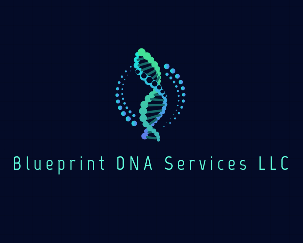 BLUEPRINT DNA SERVICES - Updated December 2024 - 2719 Hollywood Blvd ...