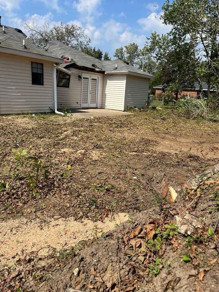 KINGS TREE SERVICE & LANDSCAPING - Updated September 2025 - 131 Photos ...