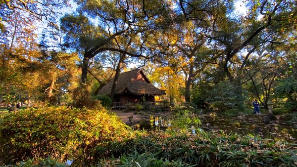 MICKE GROVE PARK - 95 Photos & 45 Reviews - Parks - 11793 N Micke Grove ...