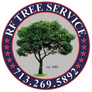 ABC PROFESSIONAL TREE SERVICES - Updated April 2025 - 12 Photos & 27 ...