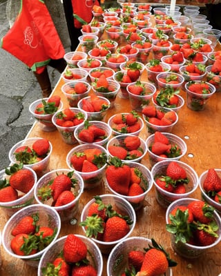 NYU STRAWBERRYFEST - Updated October 2025 - 25 Photos - 566 Laguardia ...