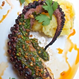 THE NAUTILUS - Updated January 2026 - 160 Photos & 192 Reviews - 12 ...