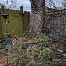 RED DOT RESTAURANT & BAR - Updated April 2025 - 105 Photos & 313 ...