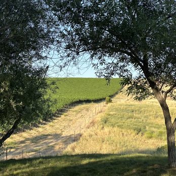 RIVER OAKS HOT SPRINGS SPA - 332 Photos & 424 Reviews - 800 Clubhouse ...