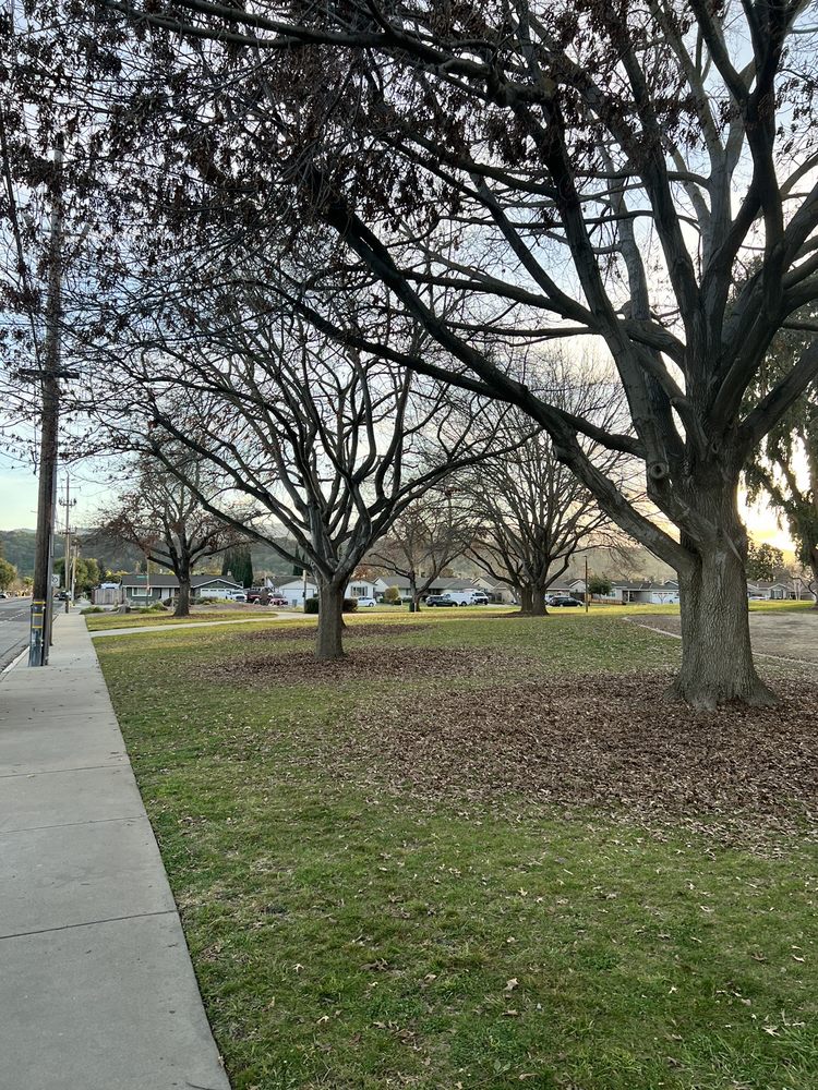 CAHALAN PARK - 58 Photos & 21 Reviews - Cahalan Ave And Pearlwood Wy ...