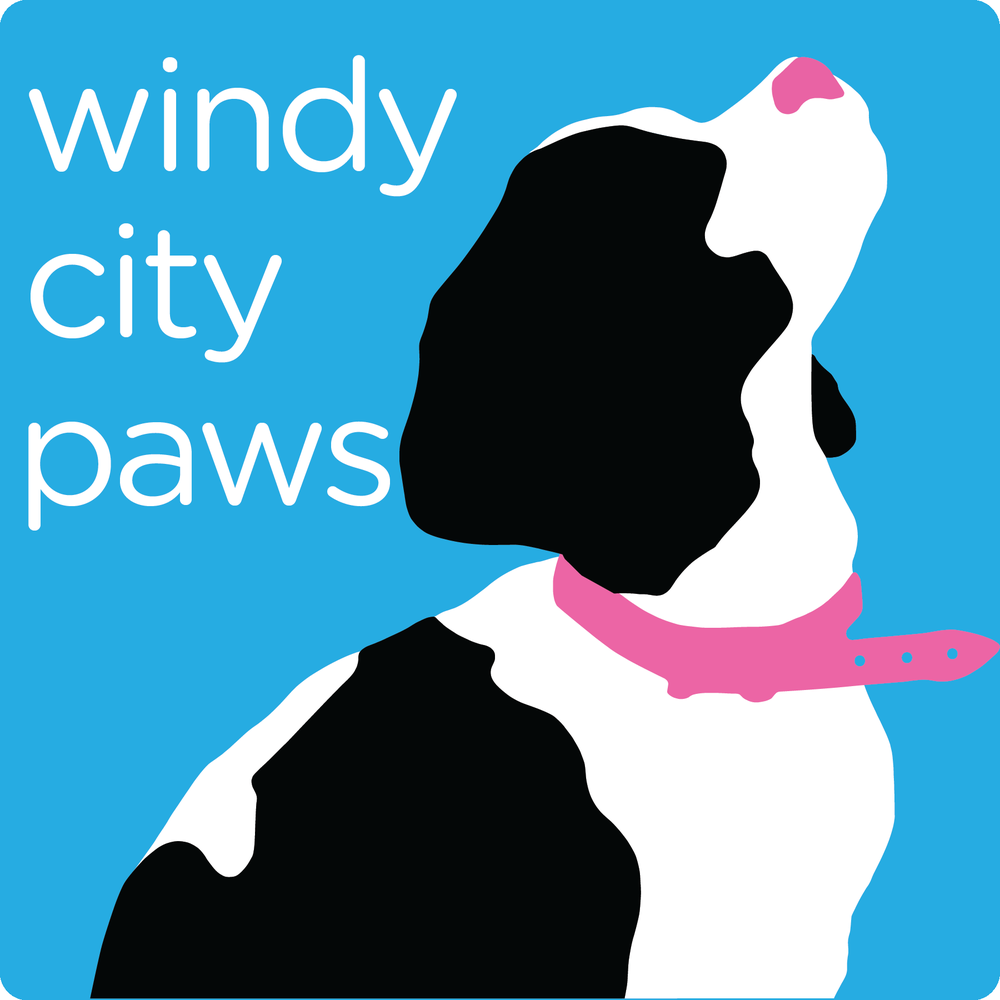 WINDY CITY PAWS - Updated December 2025 - 36 Photos & 182 Reviews ...