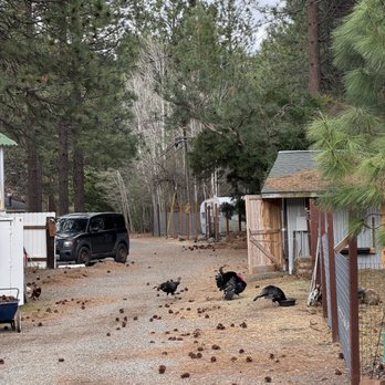 TRAILER LANE CAMPGROUND - Updated September 2025 - 58 Photos & 60 ...