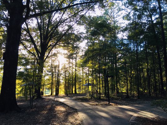 FLOWOOD NATURE PARK - Updated November 2025 - 12 Photos - 4077 Flowood ...